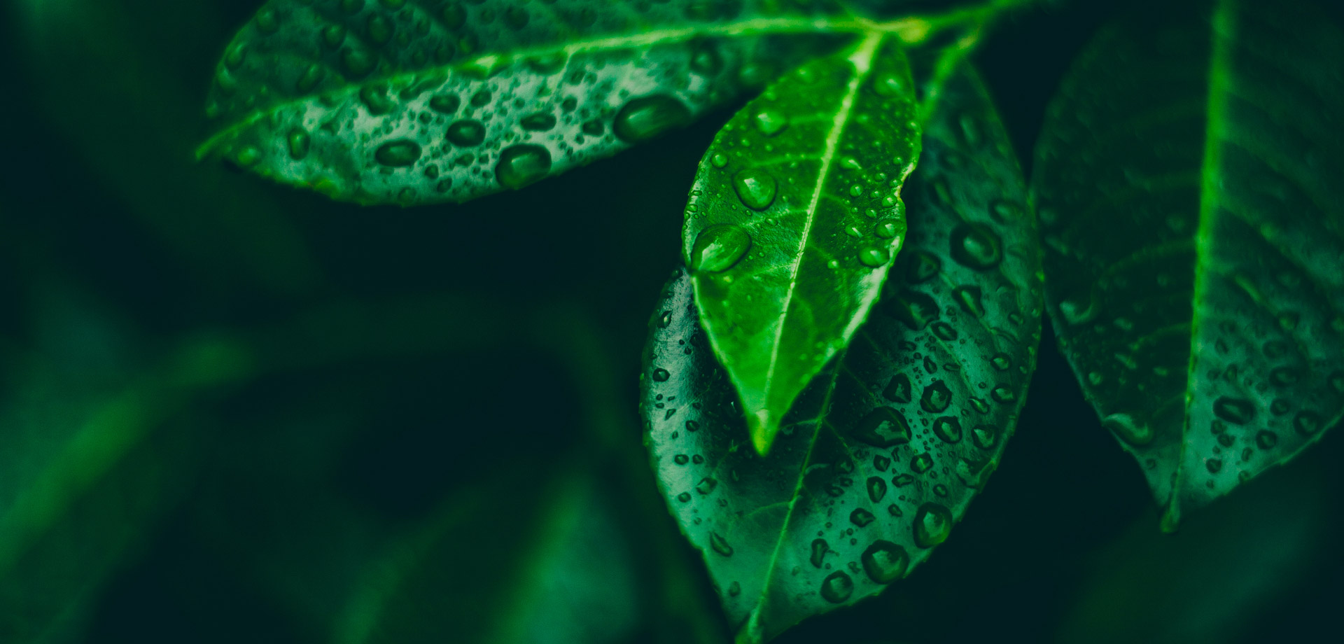 Soul Care Survey • Emerge Counseling Ministries